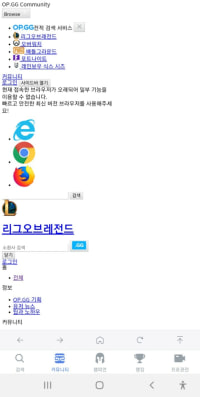 OPGG이렇게 뜨는게 ...정상인가? - OP.GG